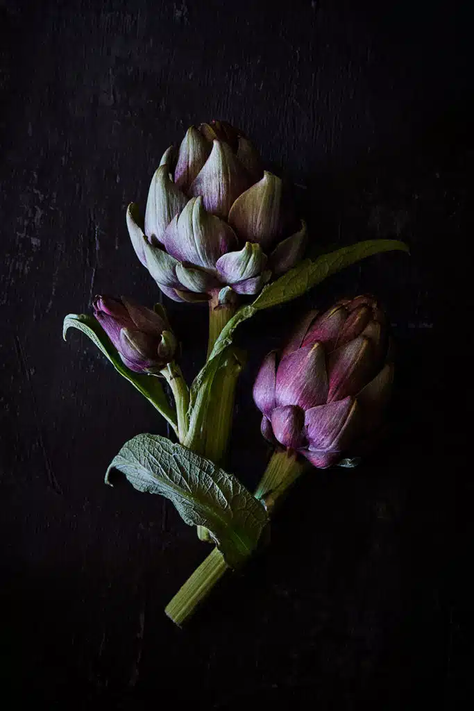 Raw | Photographer